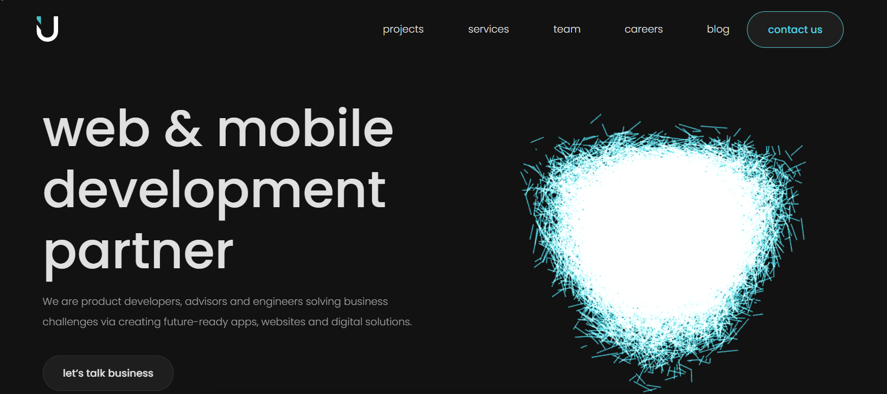 Which Are The Top Custom Software Development Companies?